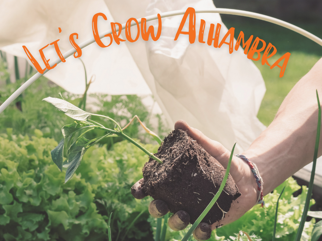 Home | Alhambra Library